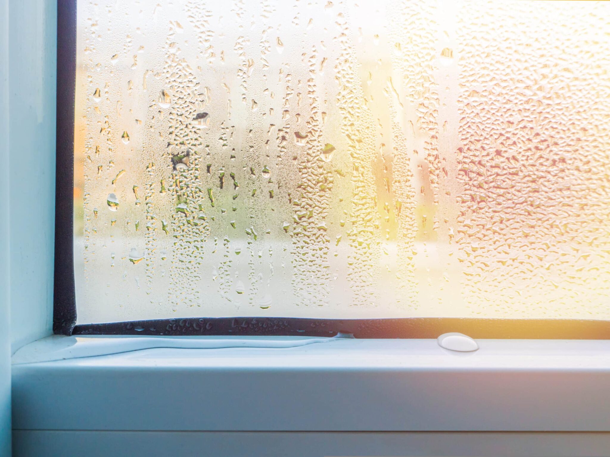 Read the 5 Causes of Water Infiltration in the Building Envelope